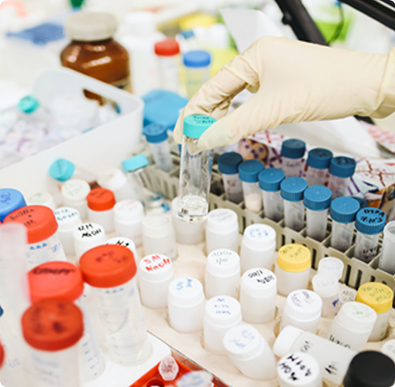 Validation Services - HML