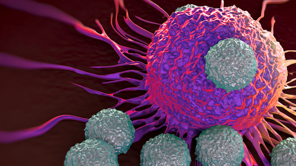 Oncology Tests - HML